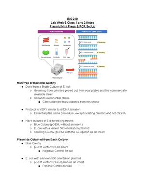 Bio 219 Results and Discussion Rough Draft Rubric(5) - Bio 219 ...