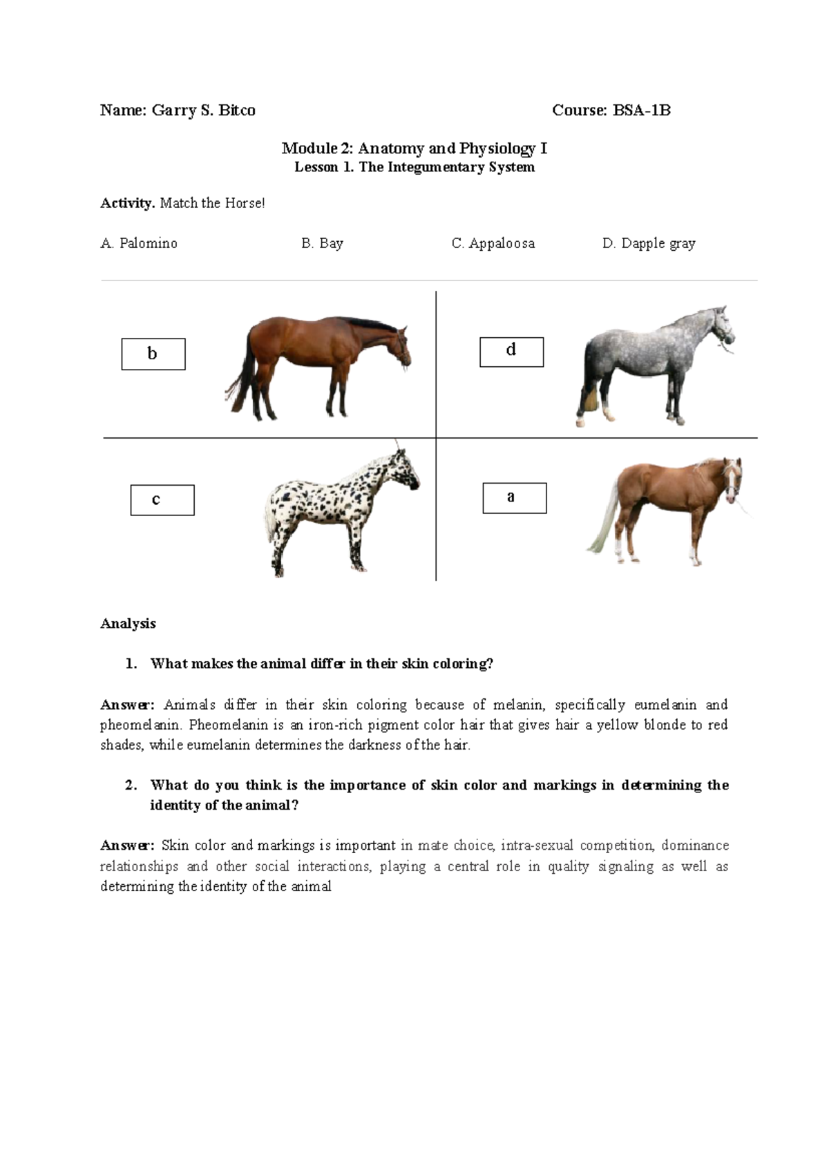 Animal Science Anatomy - Name: Garry S. Bitco Course: BSA-1B Module 2 ...