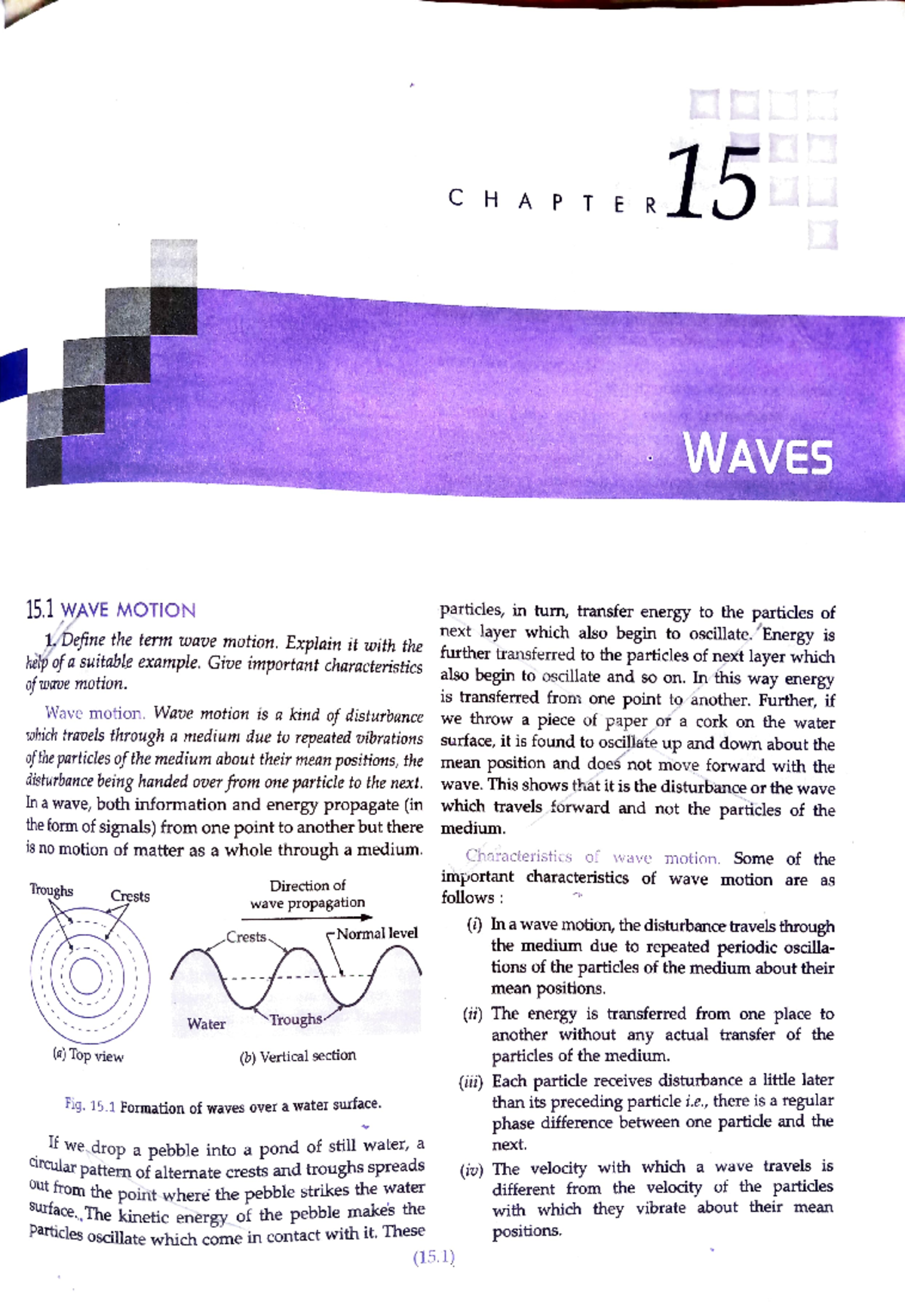 Waves - A wave is a disturbance in a medium that carries energy without ...