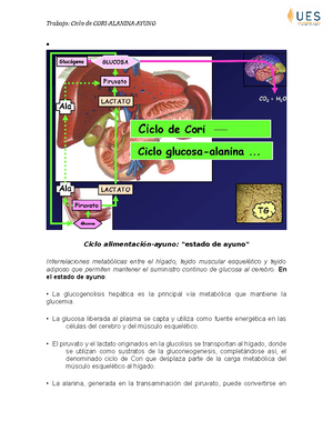 Deficiencia de Aldolasa - UNIVERSIDAD ESTATAL DE SONORA LICENCIATURA EN ...