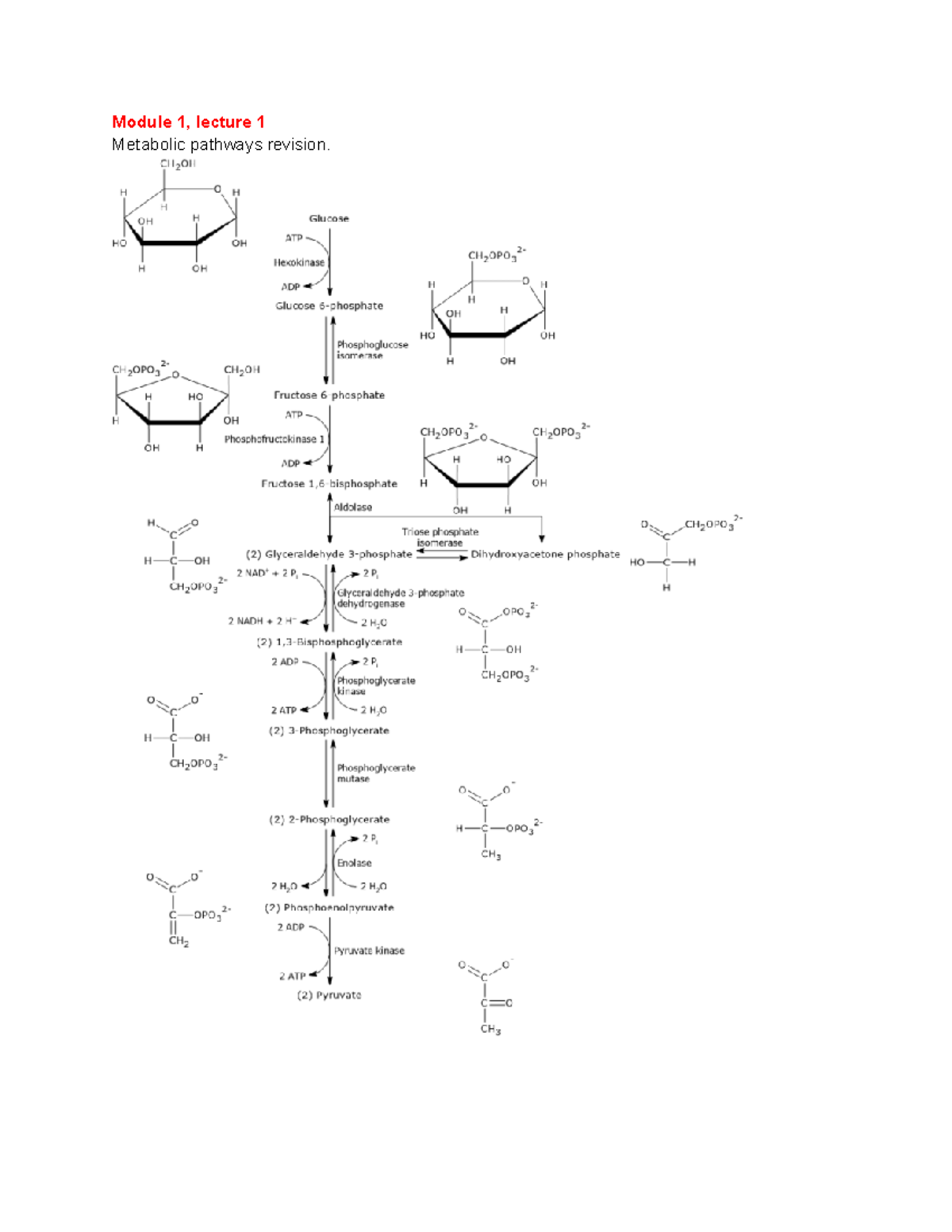 Hunt241 - summarised notes - Module 1, lecture 1 Metabolic pathways ...