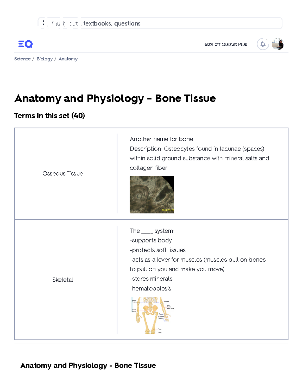 Anatomy and Physiology - Bone Tissue Flashcards Quizlet - End of year ...