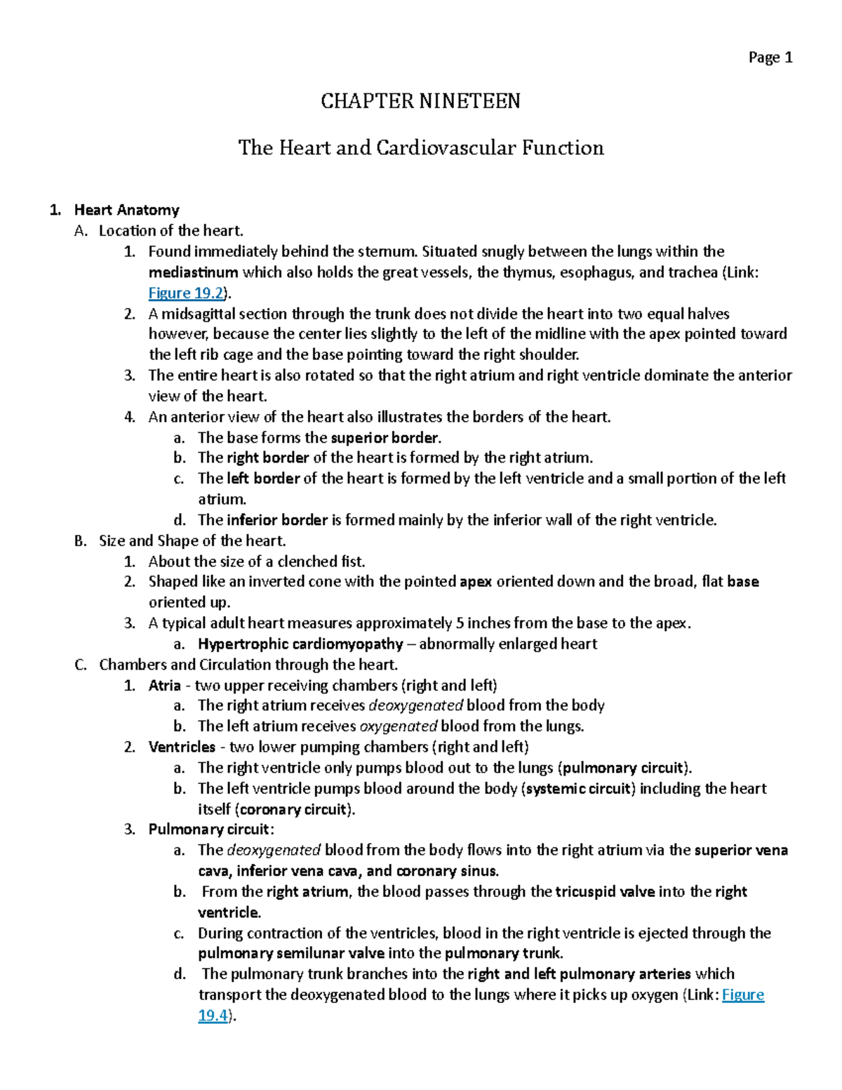 Ch.19 heart and cardiovascular outline - CHAPTER NINETEEN The Heart and ...