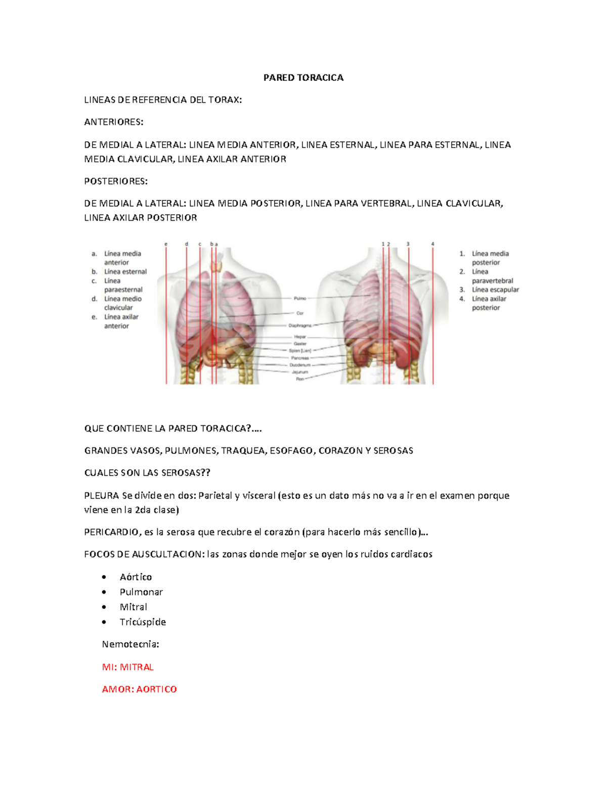 Pared Toracica - PARED TORACICA LINEAS DE REFERENCIA DEL TORAX ...