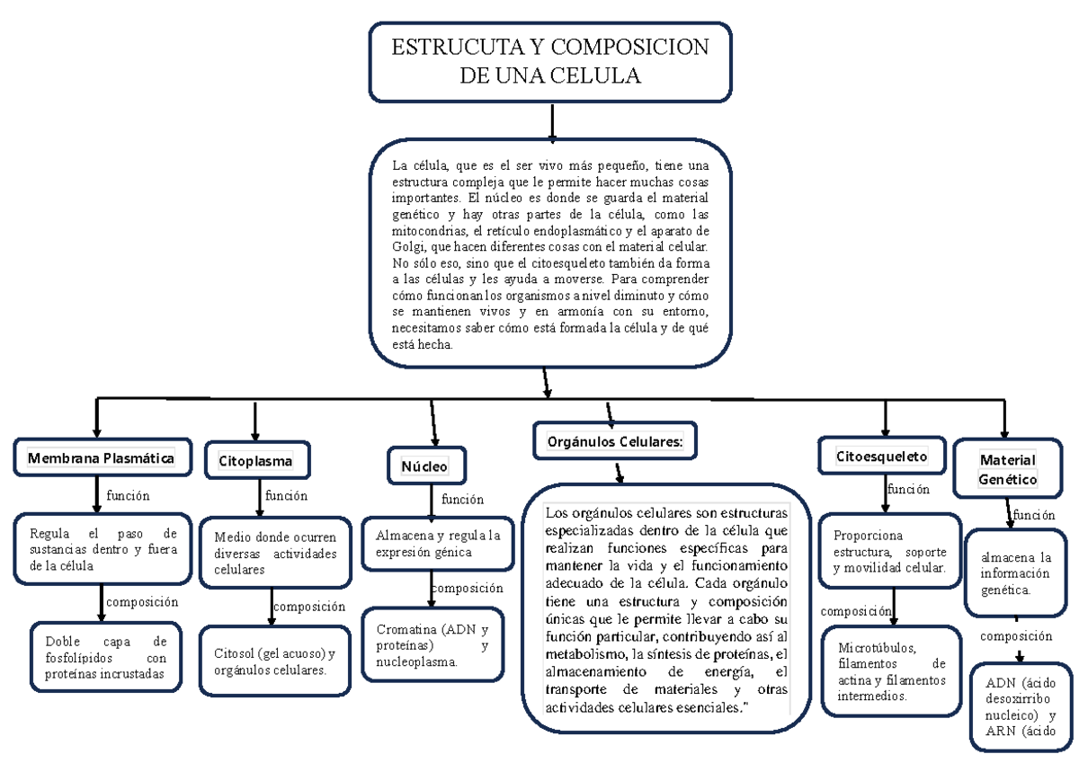 Estrucuta Y Composicion DE UNA Celula - ESTRUCUTA Y COMPOSICION DE UNA ...