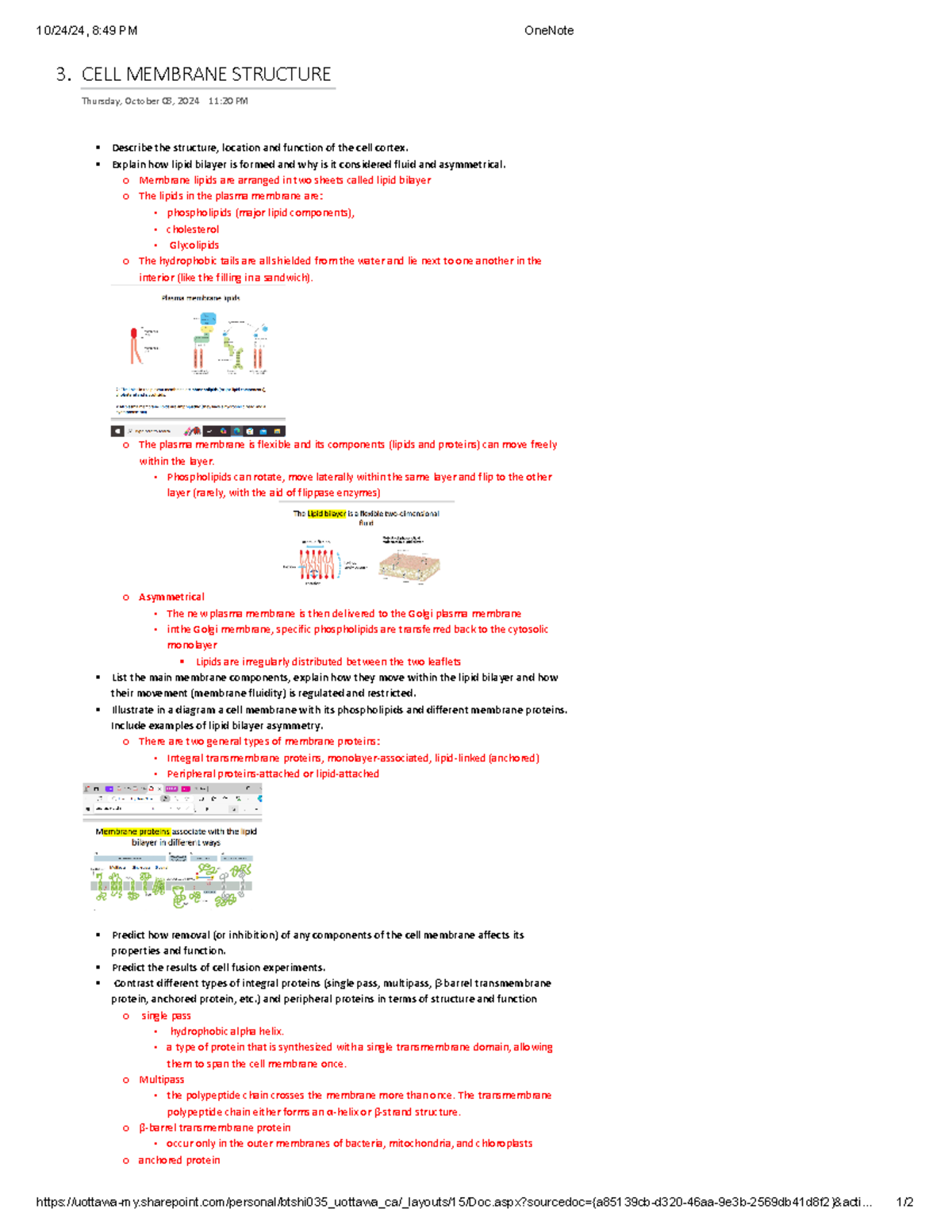 Bio notes for others - module 3 - 3. CELL MEMBRANE STRUCTURE Thursday ...