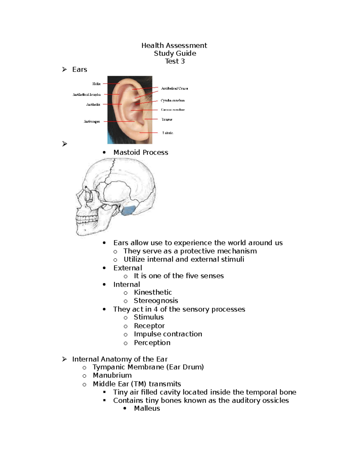 HA EXAM 3 Study Guide 2 2018 - Health Assessment Study Guide Test 3 ...