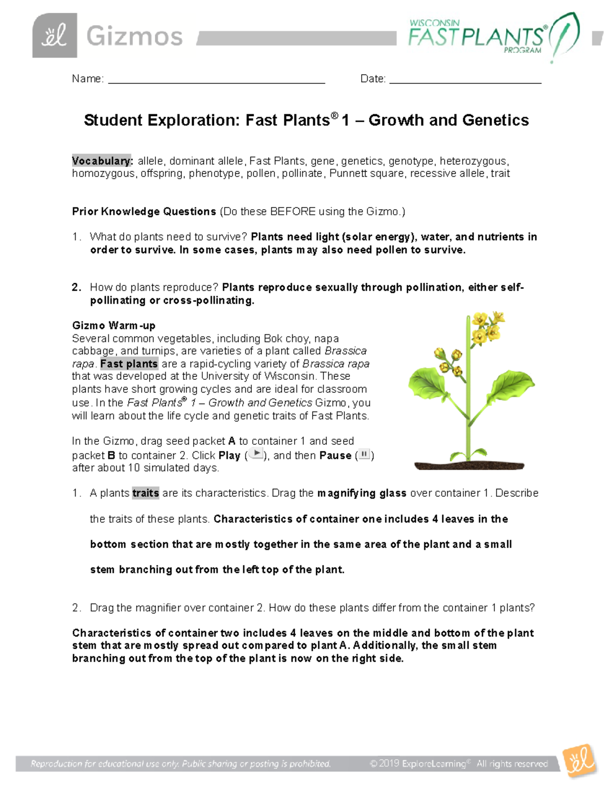 Gizmo FAST Plants 2019 Name Date Student Exploration Fast Plants