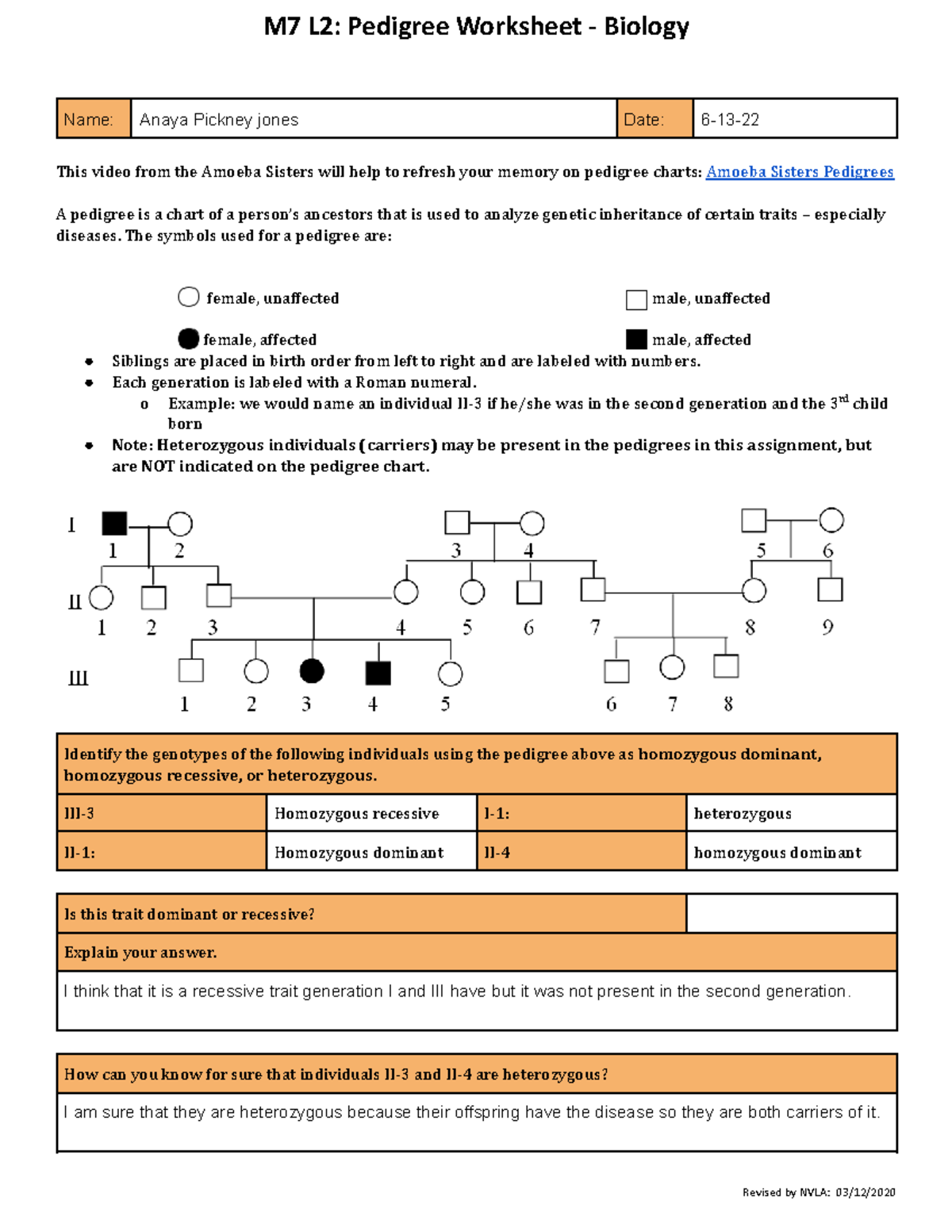 Copy of M7L2 Identifying Patterns of Traits in a Population - Bio - M7 ...