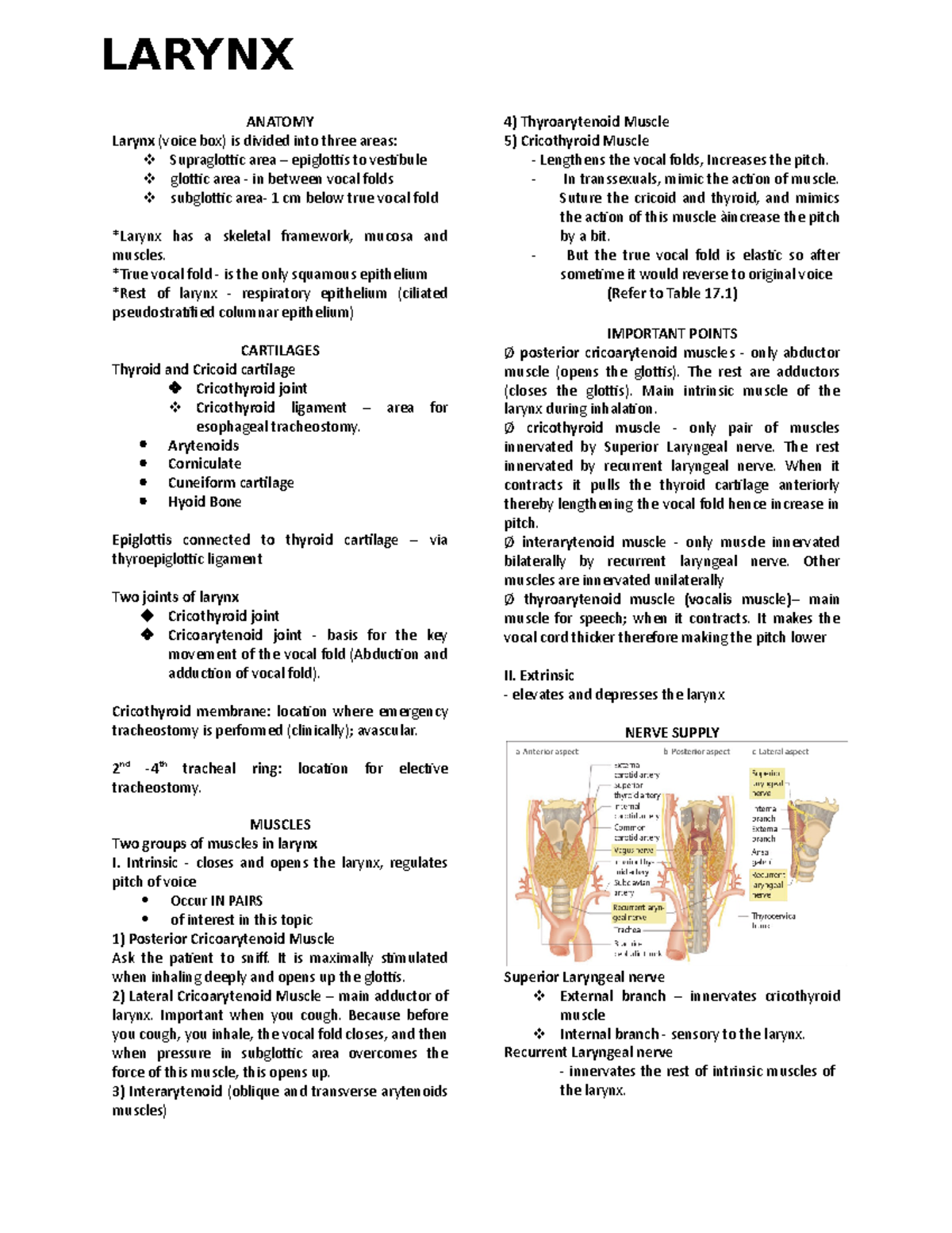 Anatomy-Larynx notes - ANATOMY Larynx (voice box) is divided into three ...