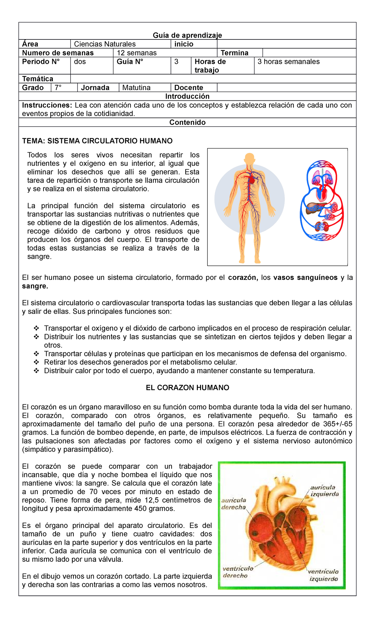 Guia N° 3 grado 7° - CIENCIAS - Guía de aprendizaje Área Ciencias ...