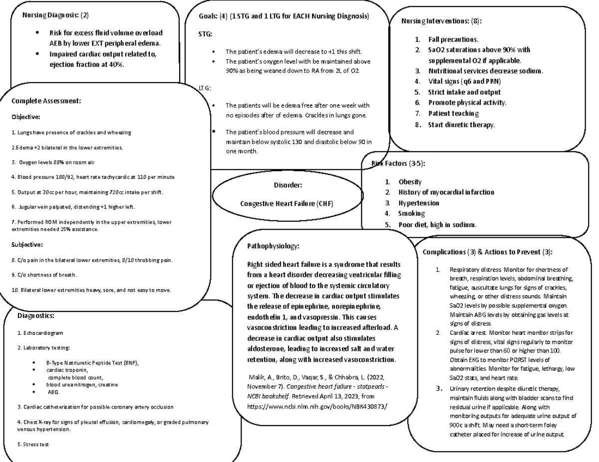 PNS concept map - Goals: (4) (1 STG and 1 LTG for EACH Nursing ...