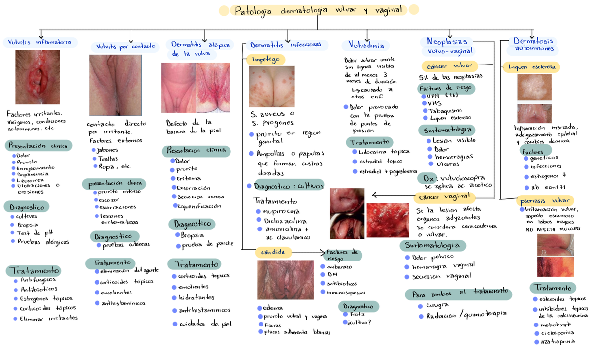 Patología dermatologica - Patologia dermatologia vulvar Y vaginal ...