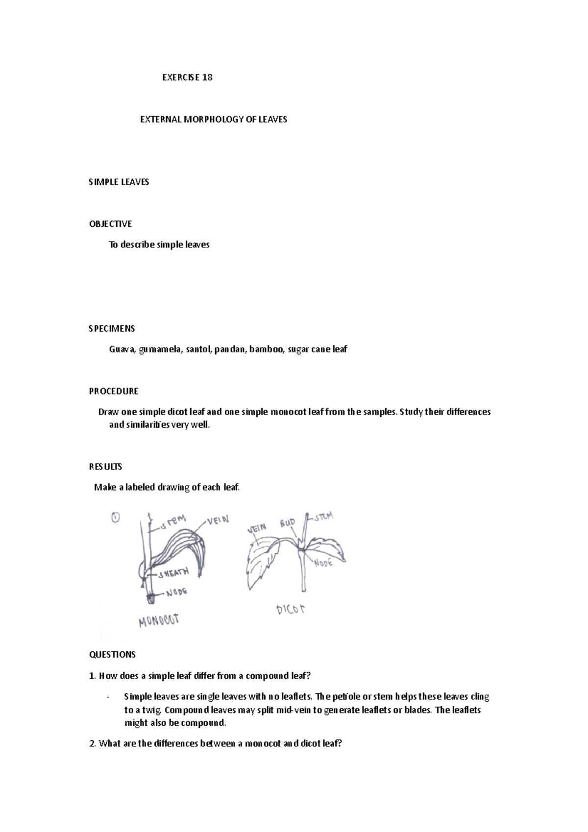 Exercise 18 botany lab - Lecture notes 1 - EXERCISE 18 EXTERNAL ...