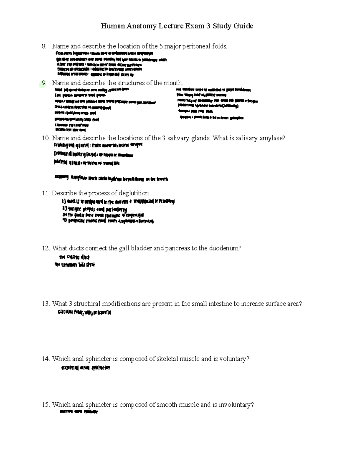 Human Anatomy lecture exam study guide 4 - Human Anatomy Lecture Exam 3 ...