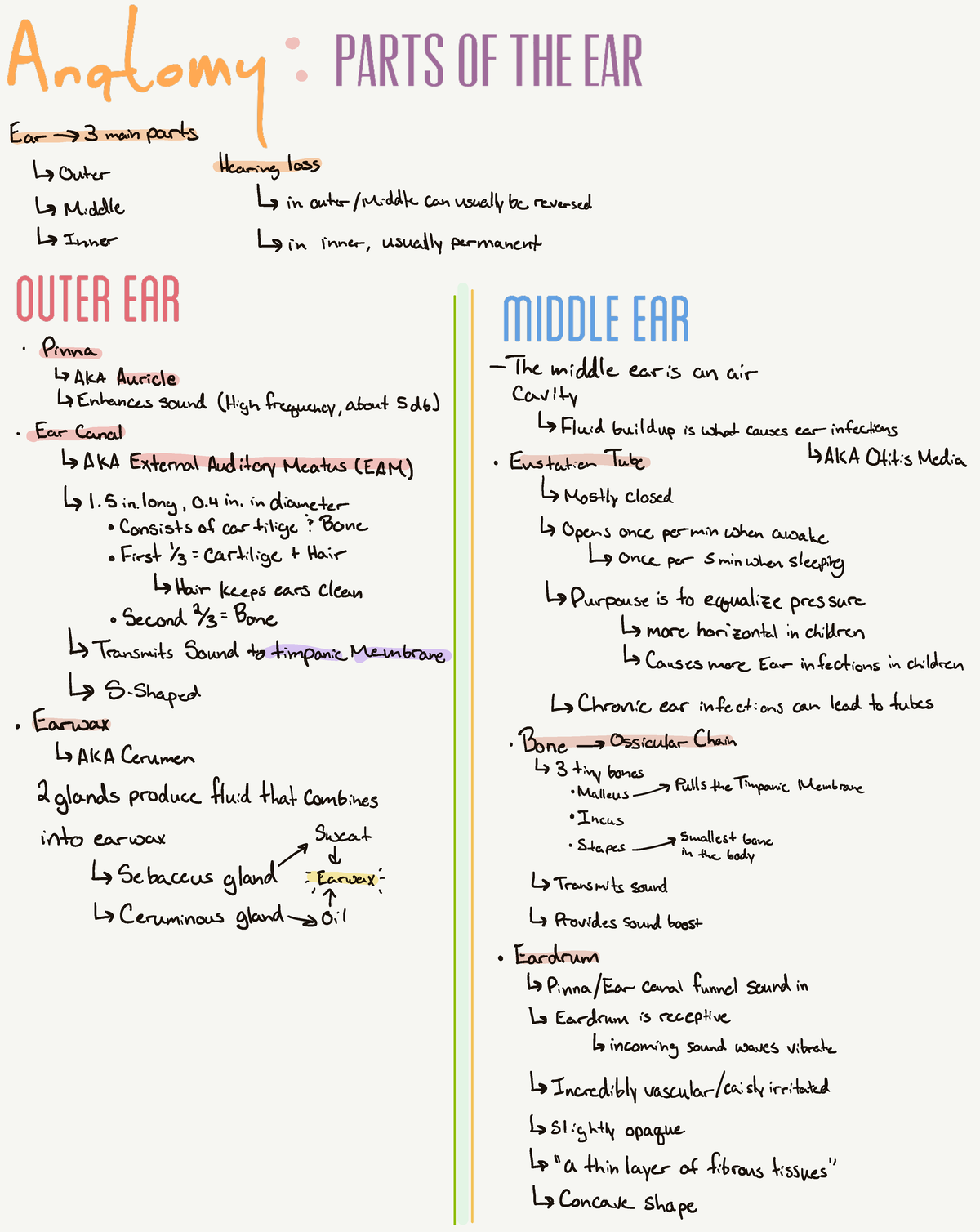 ASLS 160: Anatomy - Warning: Error during font loading: XMLHttpRequest is not defined Warning ...