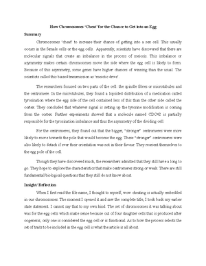 Problem-solving-and-cooking-printable v2 - Cooking With Fractions Word ...