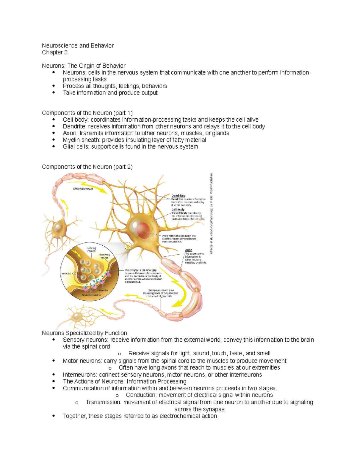 Chapter 3 of principles of psychology - Neuroscience and Behavior ...