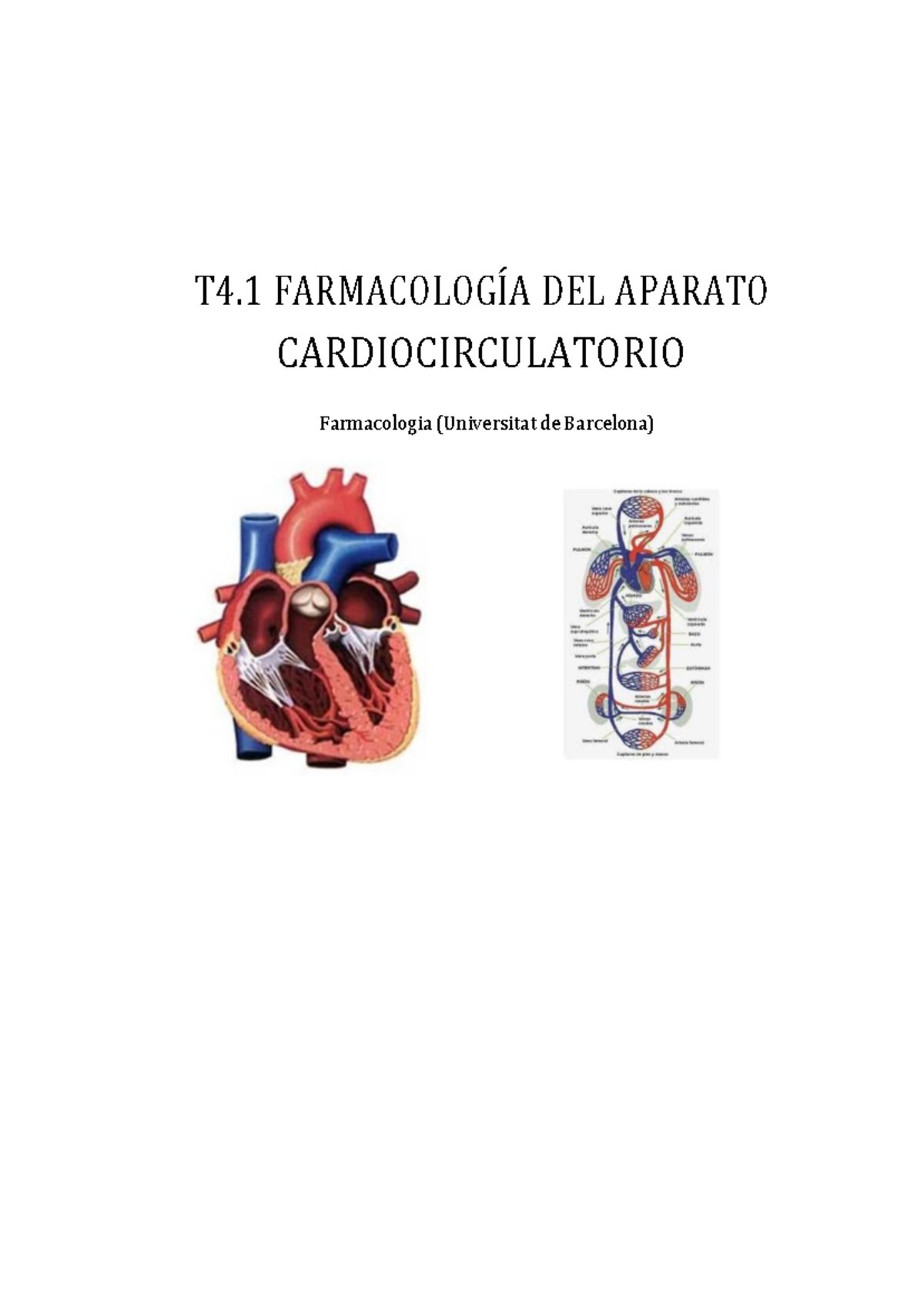 Apunts Cardio - T4 FARMACOLOGÍA DEL APARATO CARDIOCIRCULATORIO Farmacologia (Universitat de ...