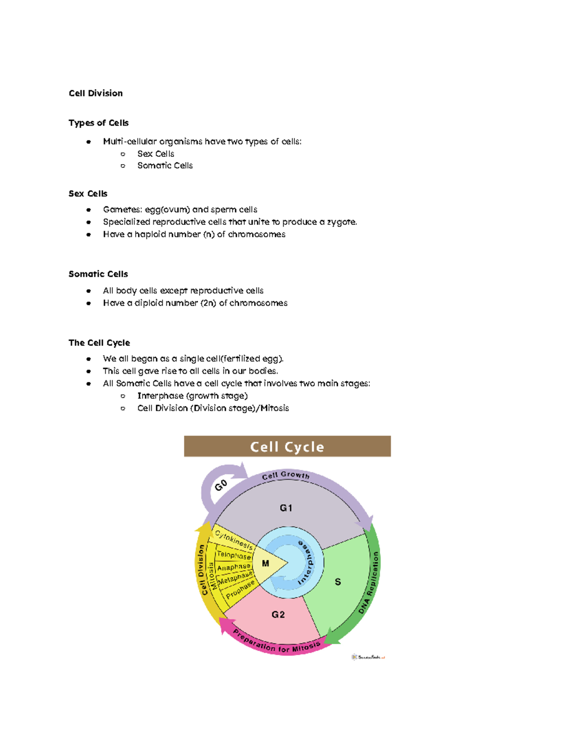 Gr10 Bio - Biology notes for culminating and exams - Cell Division ...