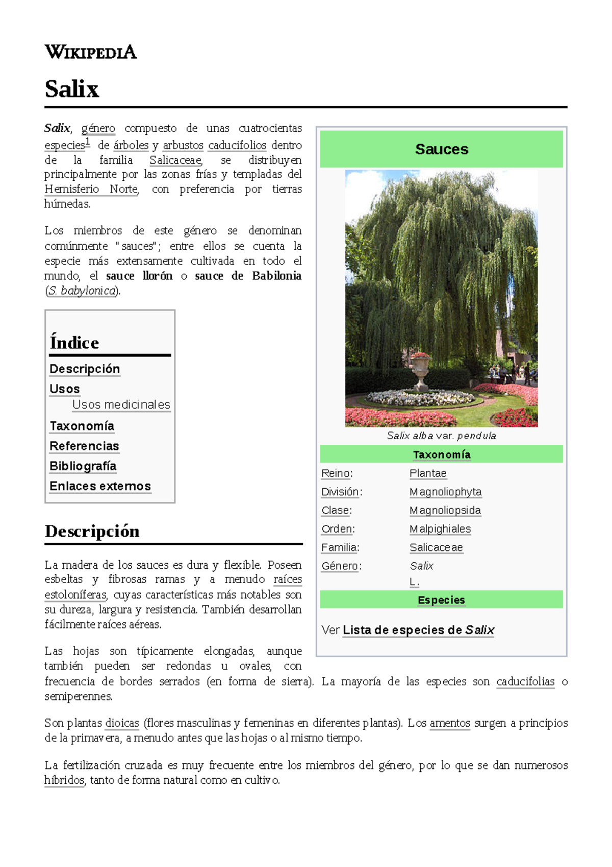 Salix - Sauces Salix alba var. pendula Taxonomía Reino: Plantae División: Magnoliophyta Clase ...