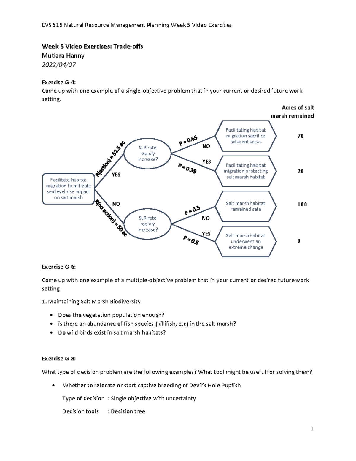 Assignment 5a Decision Making Exercise week 5 - EVS 519 Natural ...