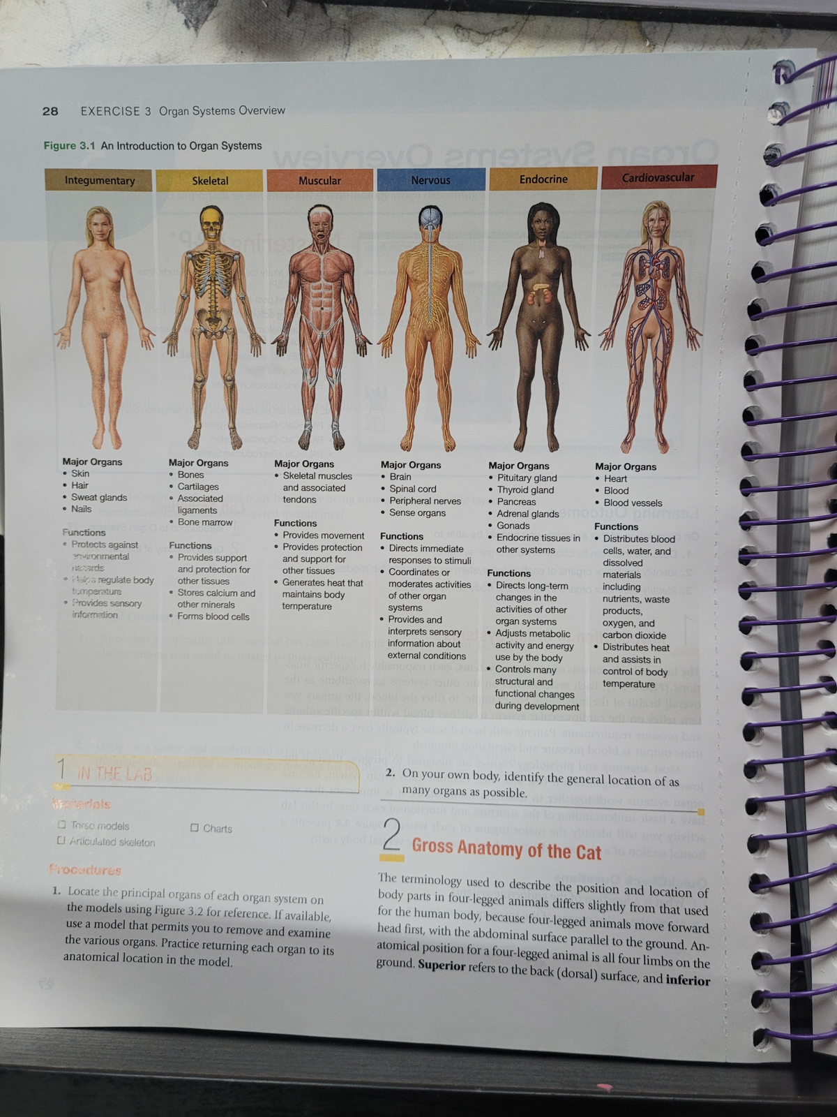 20230313 112653 - this talks about the introduction of the organ system ...
