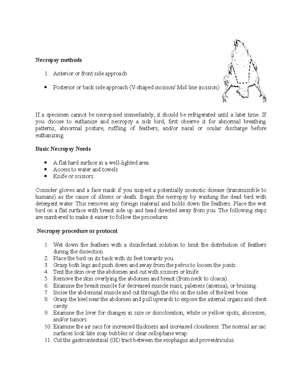 Practical 1 Necropsy Method - Necropsy methods Anterior or front side ...