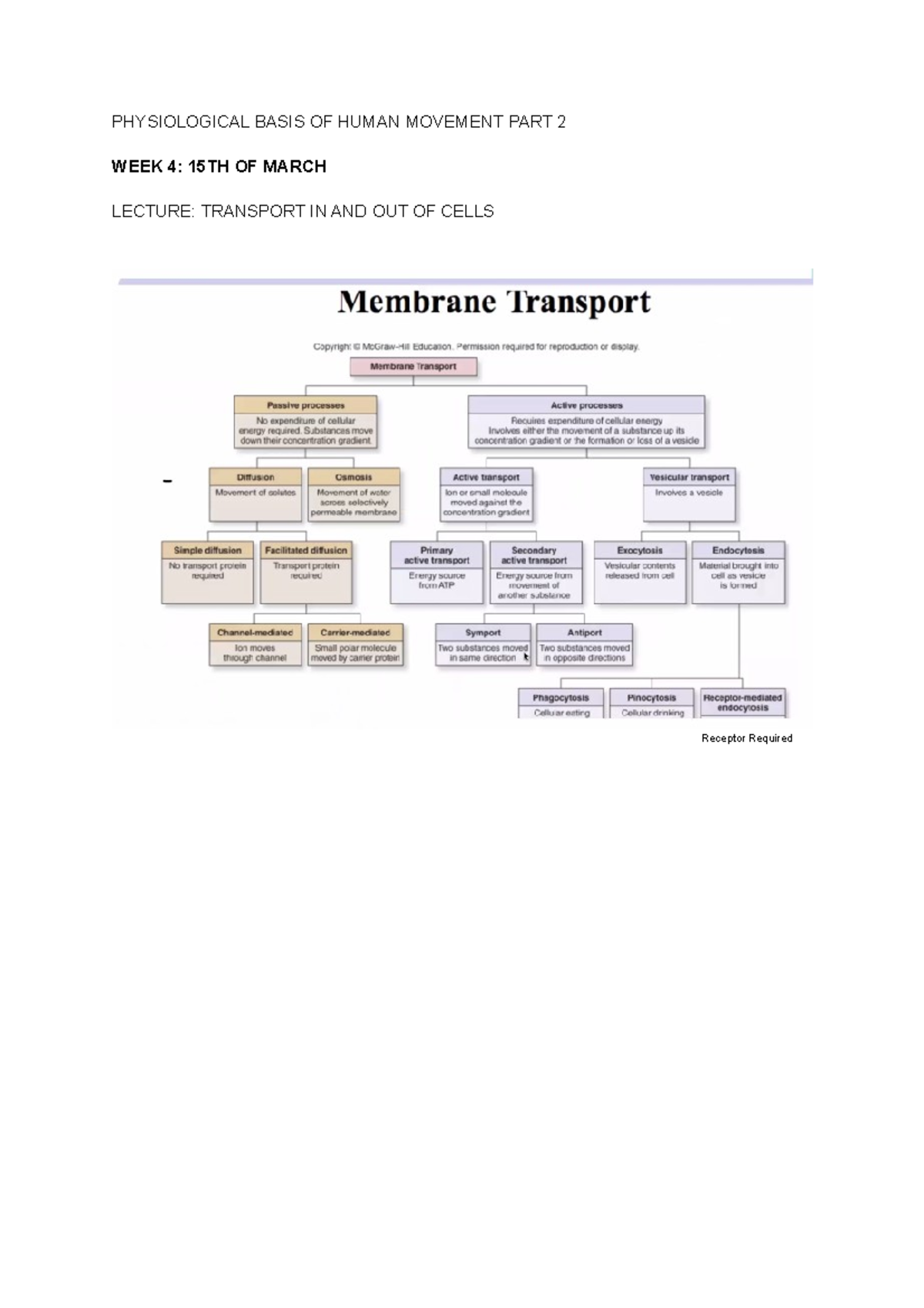 Physiological Basis OF Human Movement PART 2 - PHYSIOLOGICAL BASIS OF ...