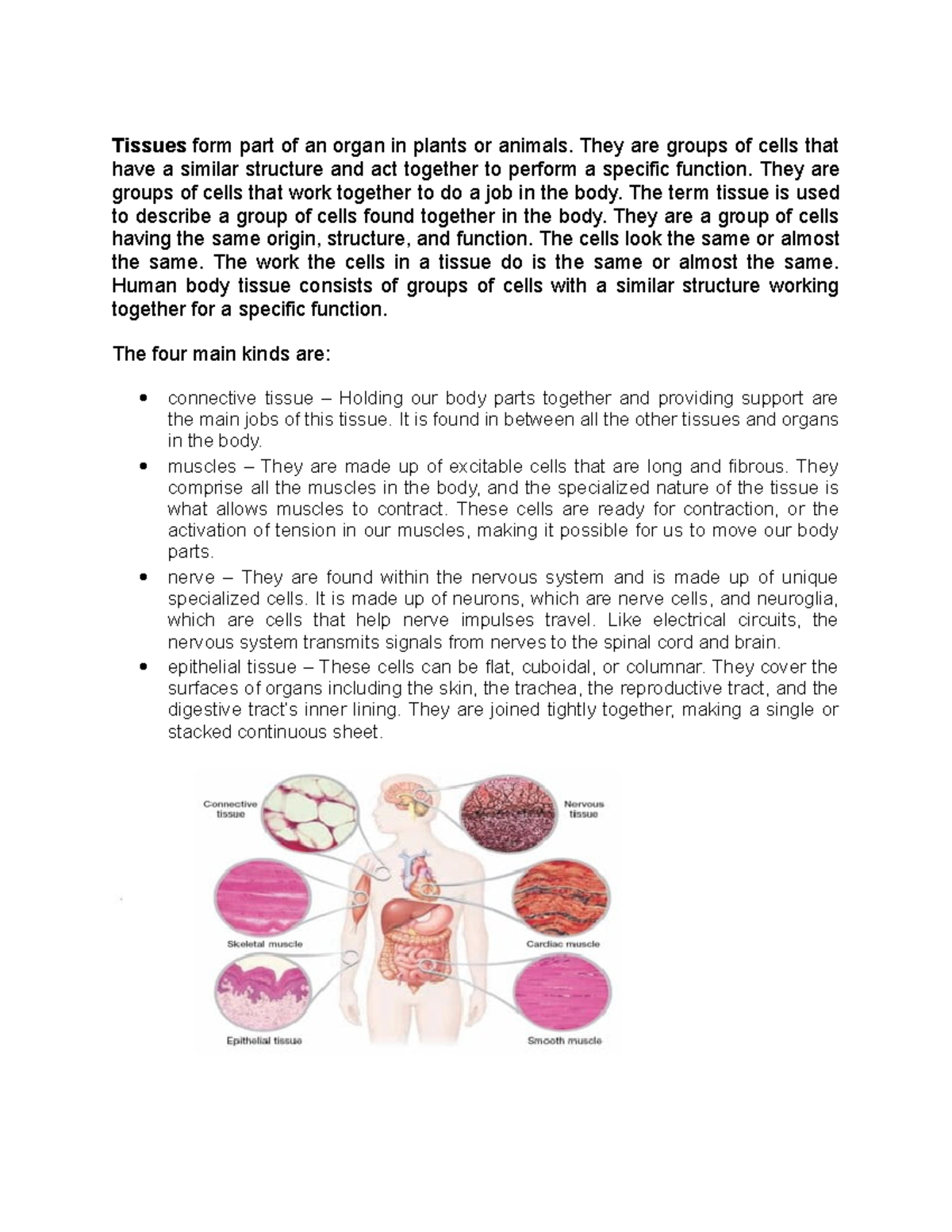 Tissues - Tissues form part of an organ in plants or animals. They are ...