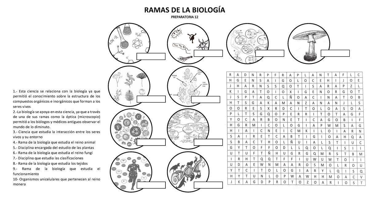 Ramas DE LA Biologia Actividad - RAMAS DE LA BIOLOGÍA PREPARATORIA 12 1 ...