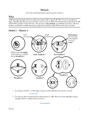 Lesson 1 Unit 1 Homeostasis Marathon Runner - Unit 1: Homeostasis ...