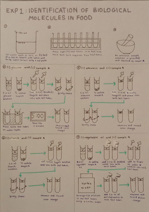 lab experiment 1 - CENTRE OF FOUNDATION STUDIES UITM DENGKIL LABORATORY ...