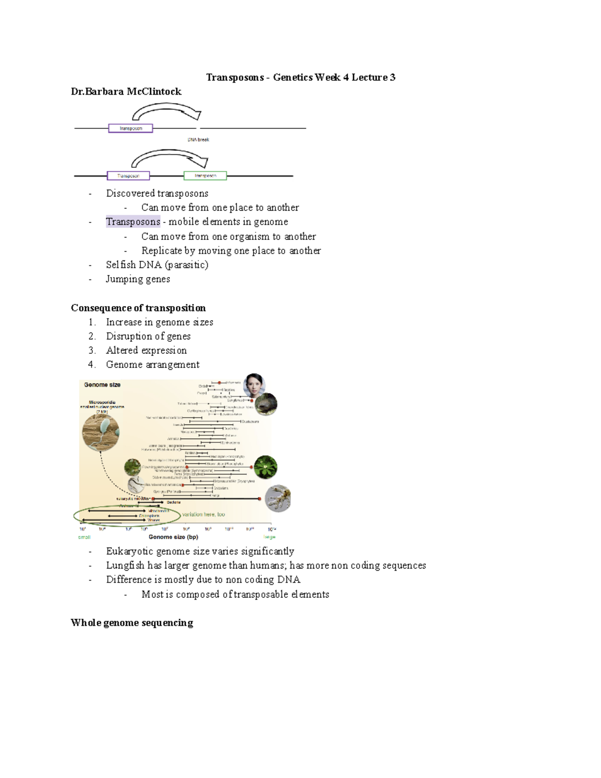 Transposons - Genetics Week 4 Lecture 3 - Transposons - Genetics Week 4 Lecture 3 Dr McClintock ...