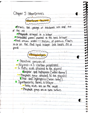 Bio 111 (chapter 4 notes) - BIO 111 - Studocu