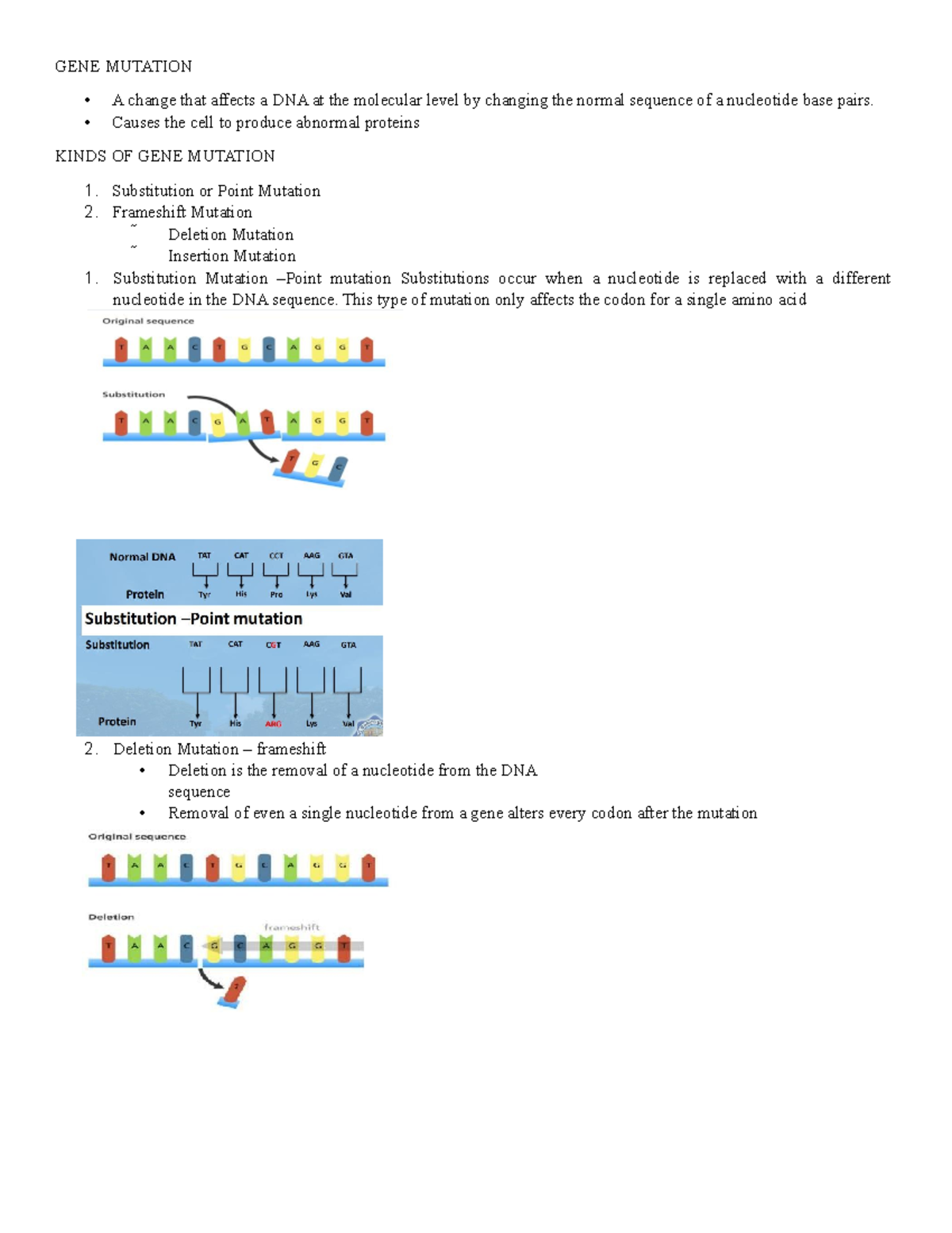GENE Mutation - GENE MUTATION A change that affects a DNA at the ...