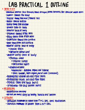 Chapter 13 Brain Cranial Nerves and Somatic Pathways (SP 22) - The ...