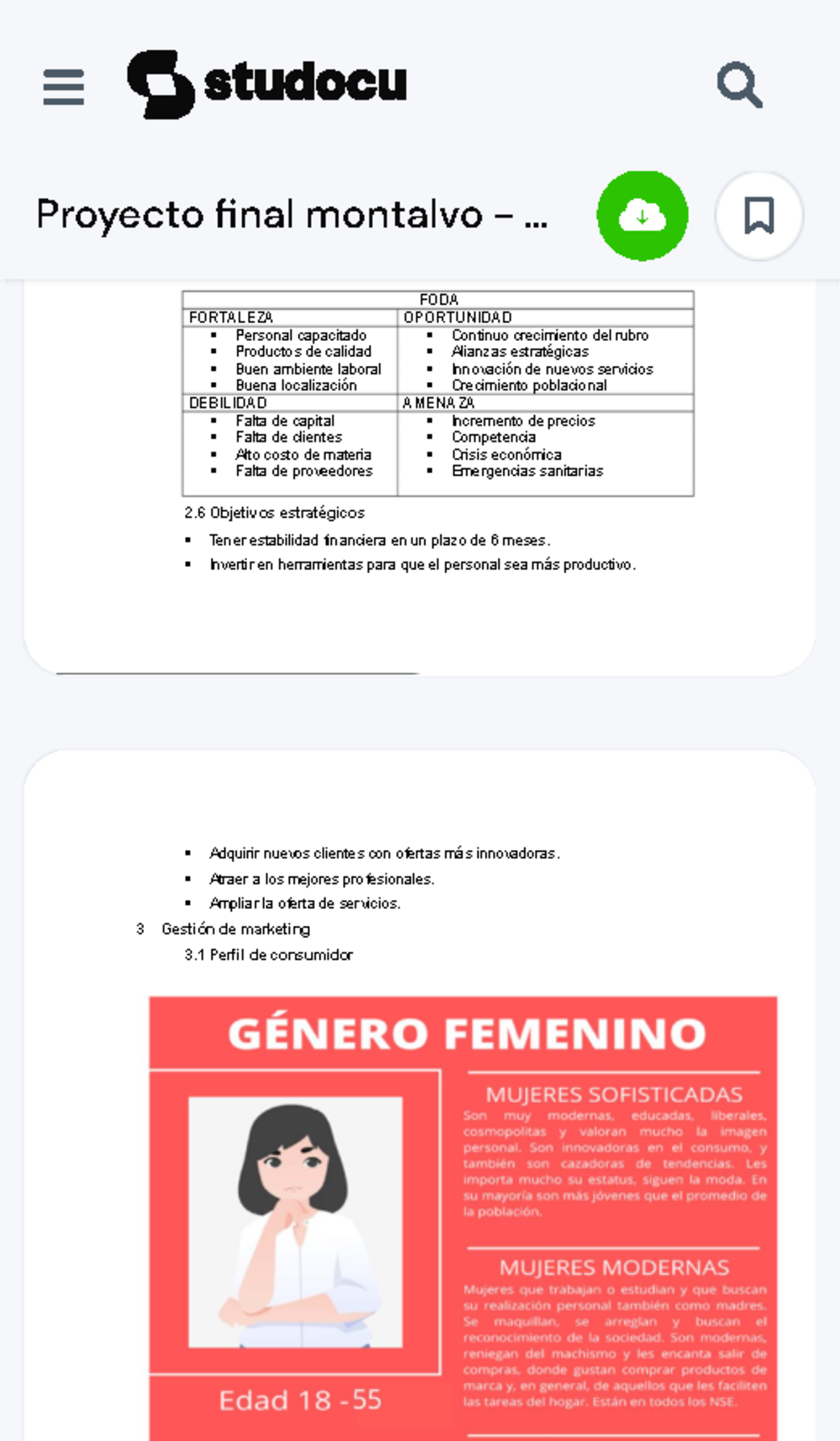 Proyecto final montalvo - Alejandrina - Introducc… - Es una empresa que brinda un servicio de ...