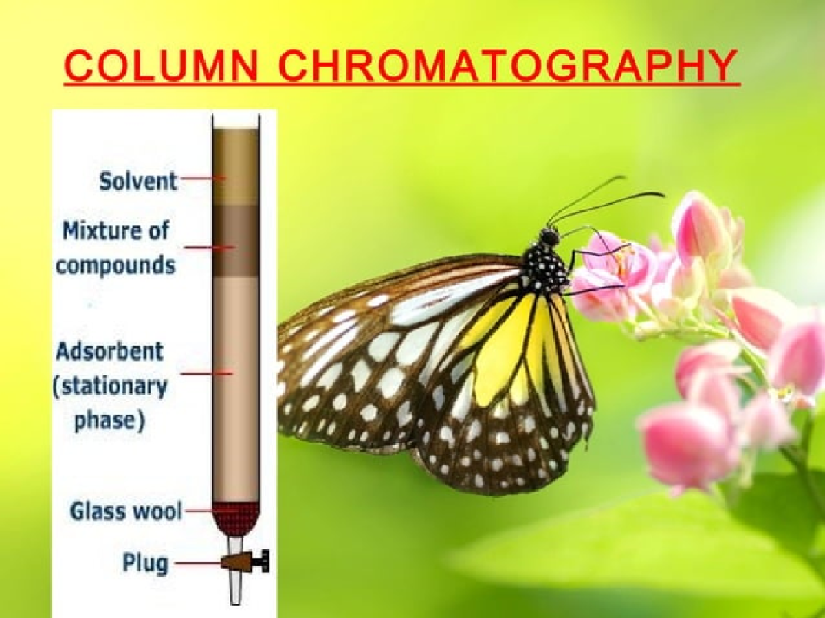 Column-chromato - There is coloum chromatography - Pharmaceutical ...