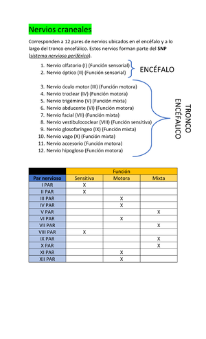 3101658 - es bonito - Original Article Walking index for spinal cord ...