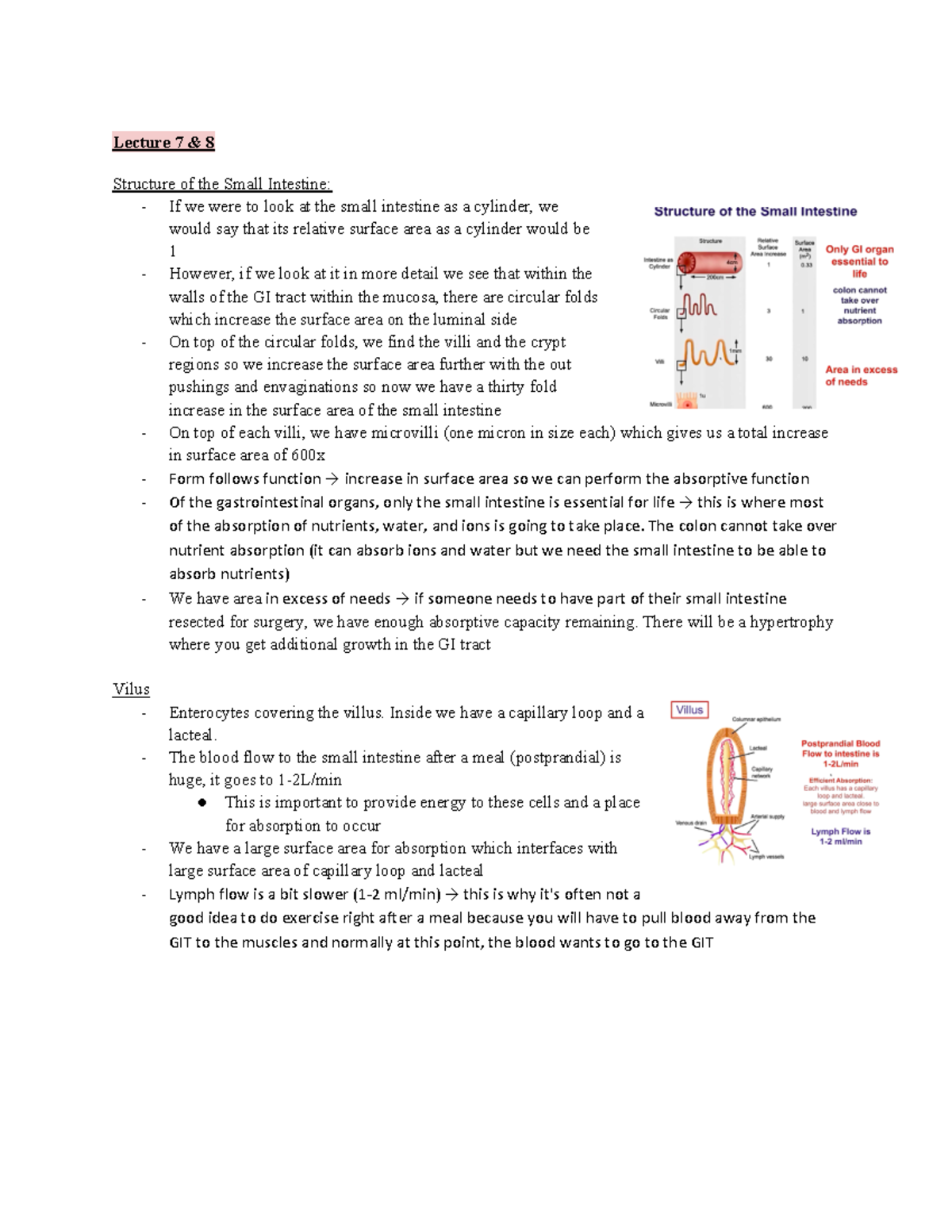 Part 34 Digestive System - Lecture 7 & 8 Structure of the Small ...