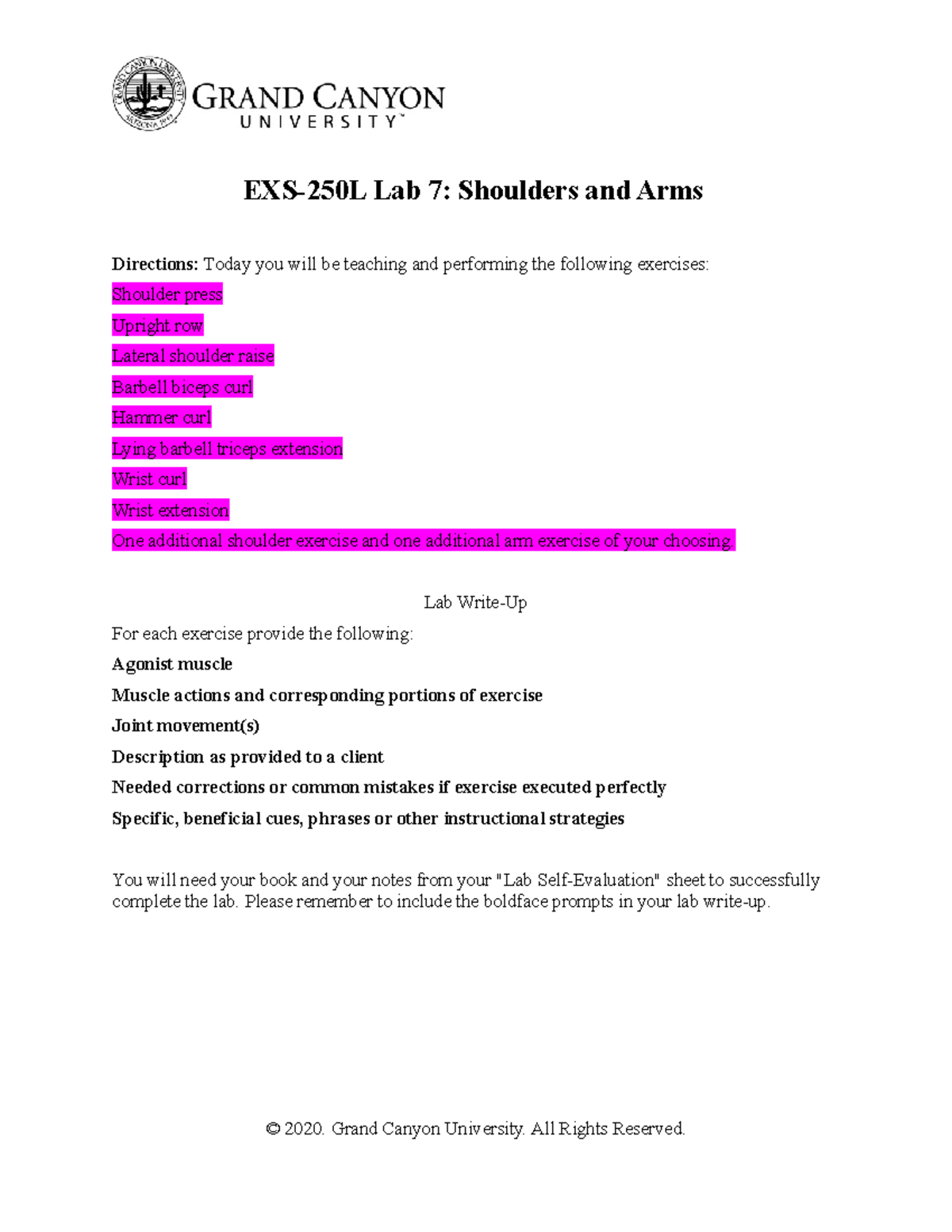 LAB 7- Shoulders AND ARMS - EXS-250L Lab 7: Shoulders and Arms ...
