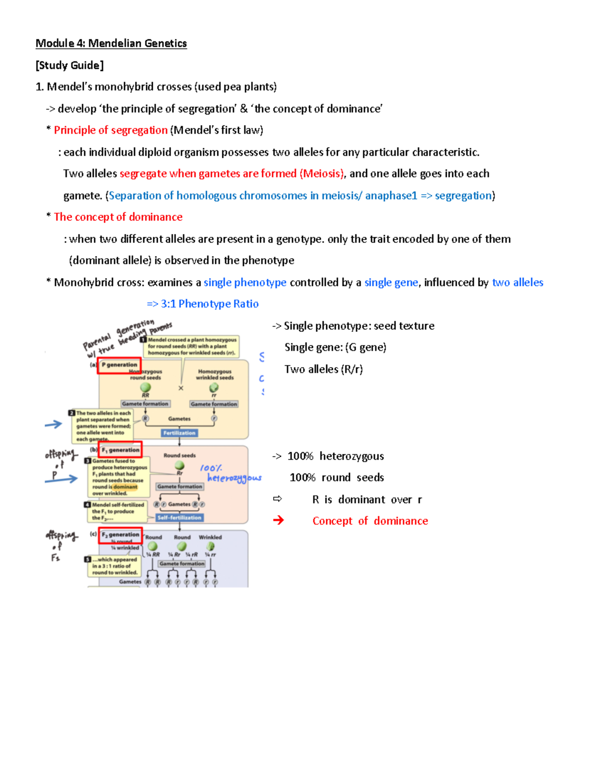 GEN Exam2 Study Guide Note - Module 4: Mendelian Genetics [Study Guide ...