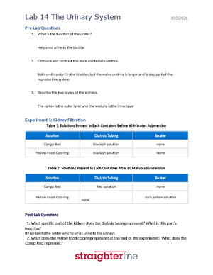 Quiz Digestive System - Quiz: A&P II The Digestive System AHLT Name ...
