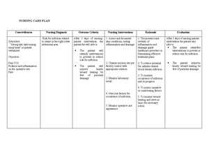 HOSPITAL NURSING CARE PLAN - NURSING CARE PLAN Cues/evidences Nursing ...