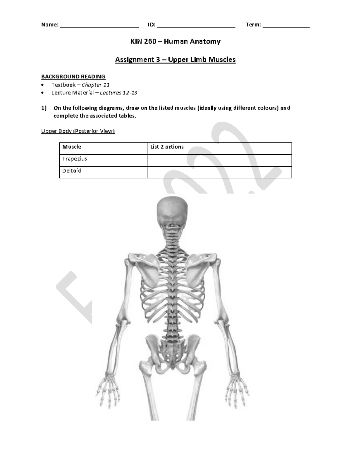 Assignment-3-1 - ANATOMY - Name: _________________________ ID ...