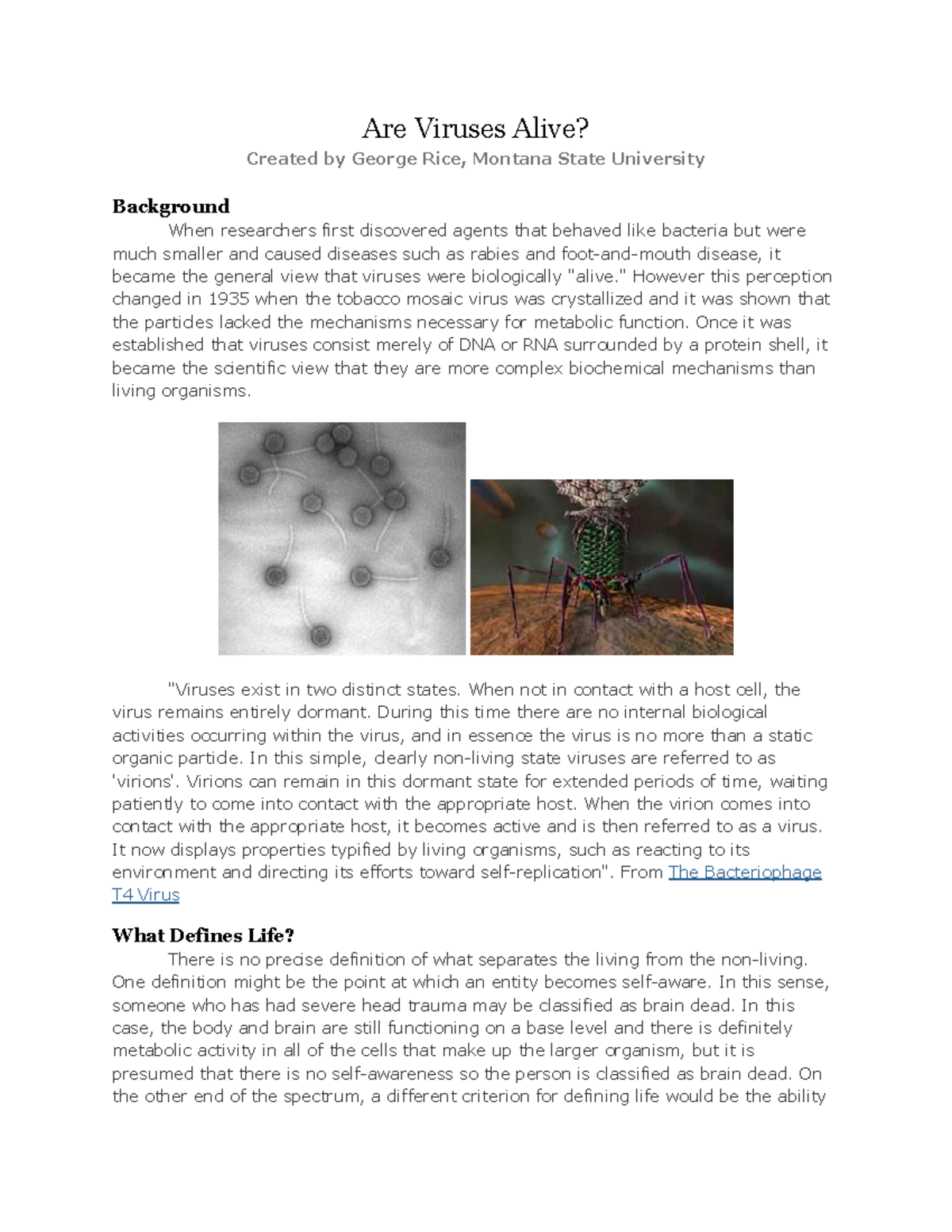 3.3.2 EC Are Viruses Alive - Are Viruses Alive? Created by George Rice ...