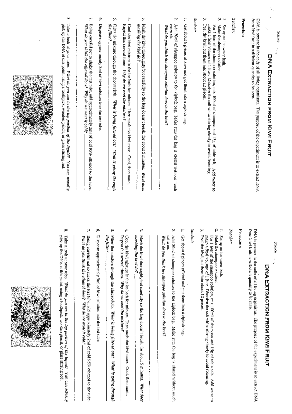 DNA Extraction From Kiwi Fruit - Studocu