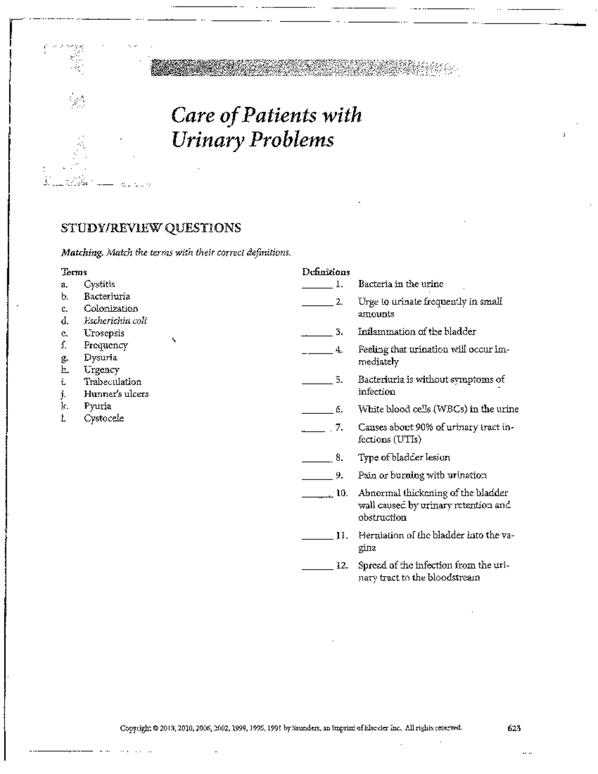 Urinary System Worksheet Esl Worksheet By Mcar07