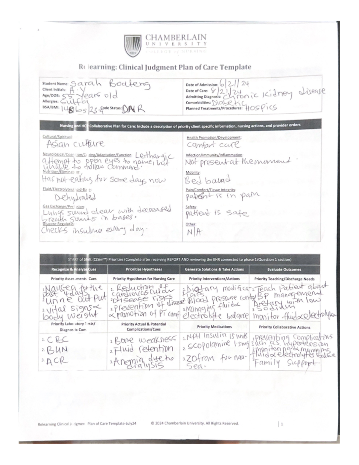 Chamberlain-6 - care plan for CJSIM relearning - CHAMBERLAIN UNIVERSIT ...